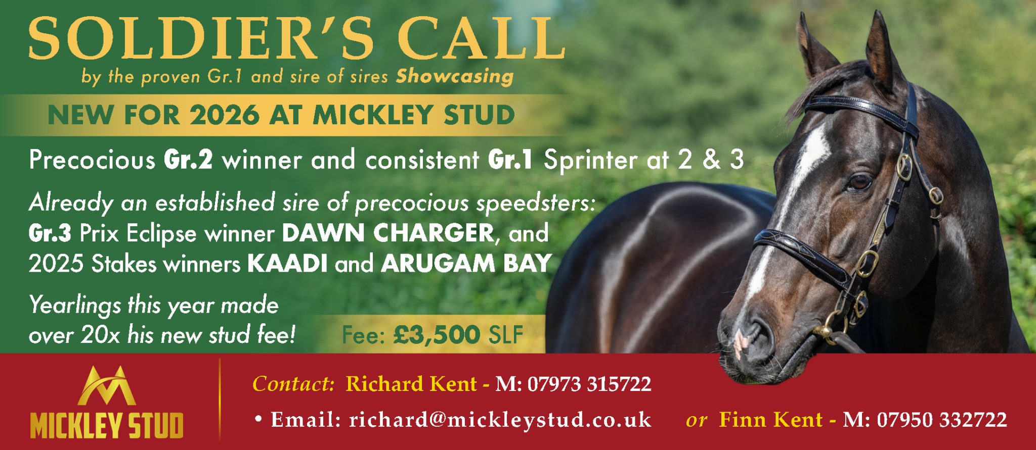 Soldier’s Call - Mickley Stud